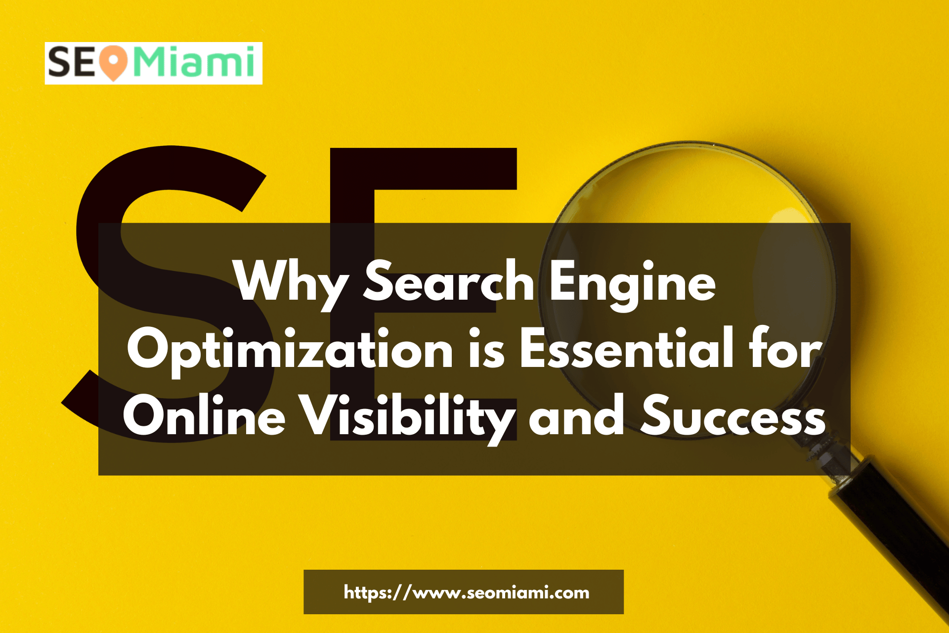 Why You Need SEO for Business (Online Visibility and Success)